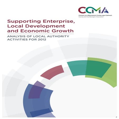 CCMA Report on Supporting Enterprise Local Development and Economic ...
