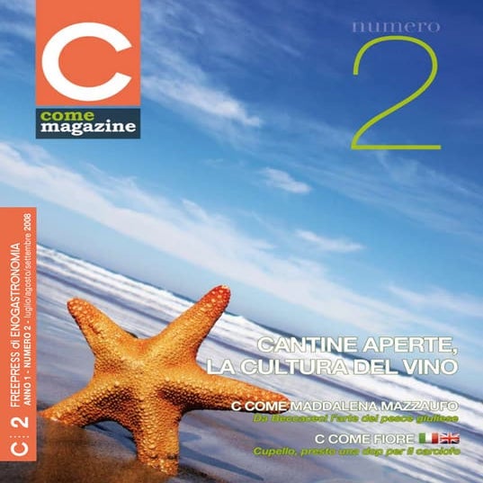 Ccomemagazine N2 | PDF