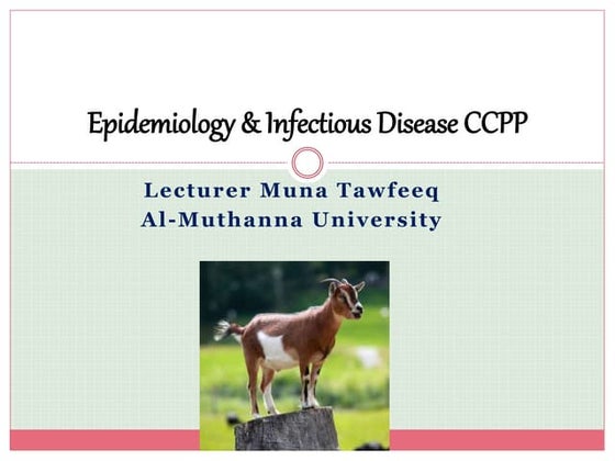 Anatomy of udder in goat | PPTX