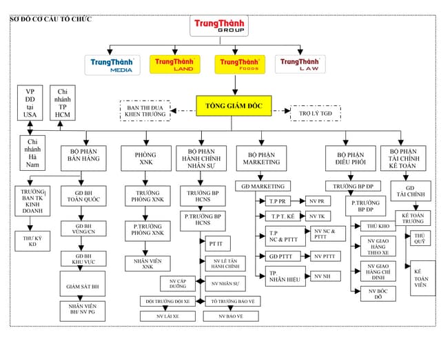 Redesign pepsi co organizational structure