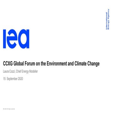 CCXG Forum, September 2020, Laura Cozzi | PPT