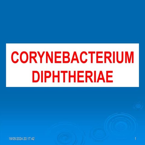 corynebacterium diptheri bakteriumm .ppt