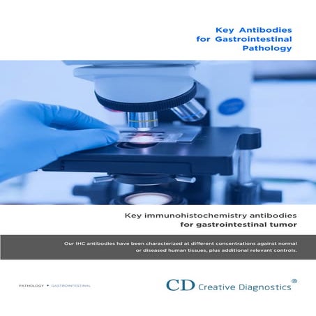 Key Antibodies for Gastrointestinal Pathology | PDF