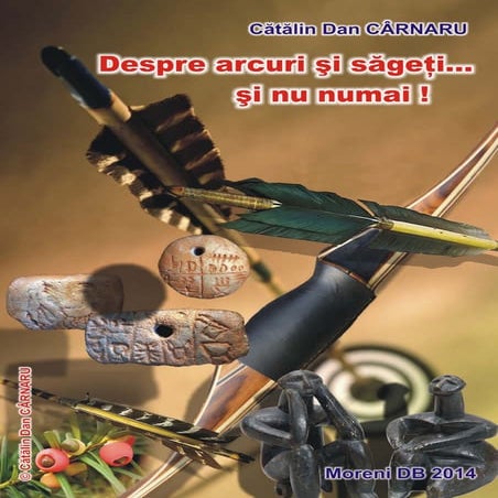 Cd 10 despre arcuri | PDF