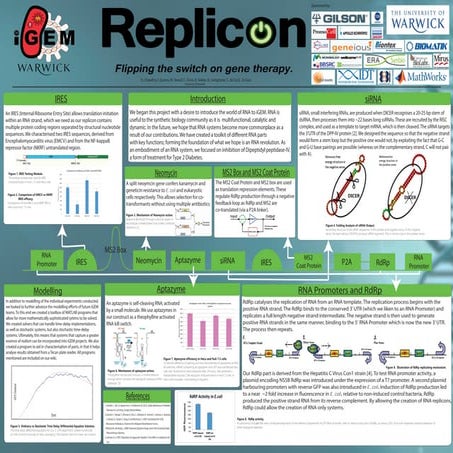 IGEM poster | PPT
