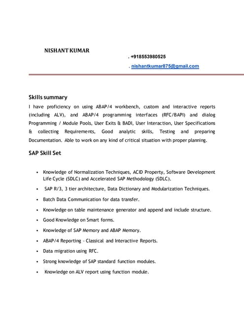 Neeraj Lamba Final Cv (1) | PDF