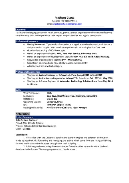 Amit_Resume | DOCX | Programming Languages | Computing