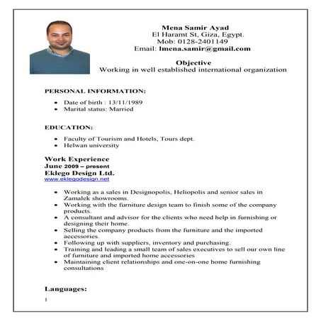Mena Samir CV | PDF