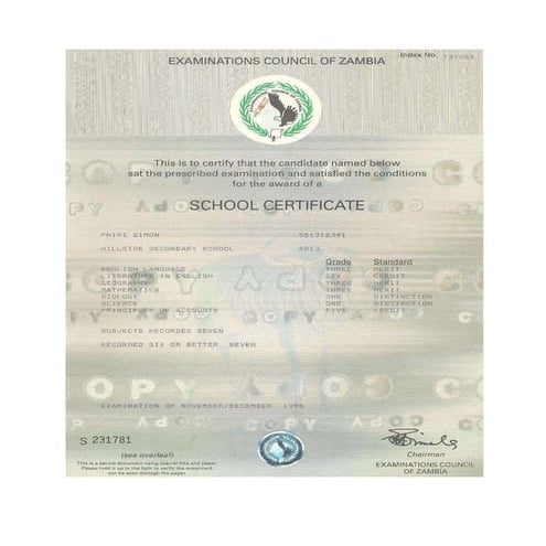 Grade 12 High School Certificate | DOCX | Education