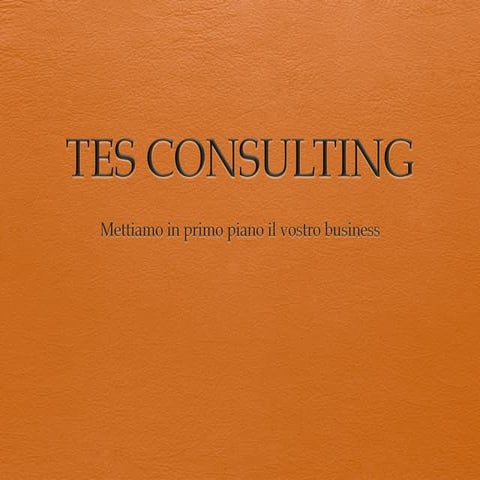 Presentazione_TES_Consulting | PPT