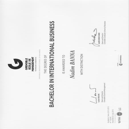 Bachelor Diploma | PDF