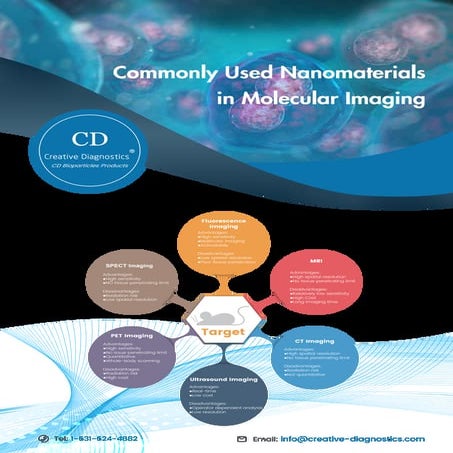 Commonly Used Nanomaterials in Molecular Imaging | PDF