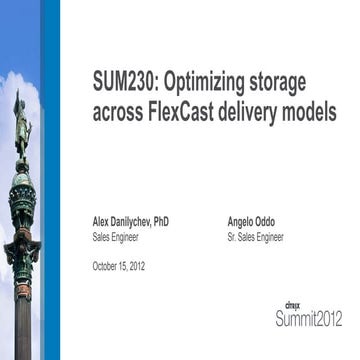 SUM230 Optimizing storage across FlexCast delivery models | PDF