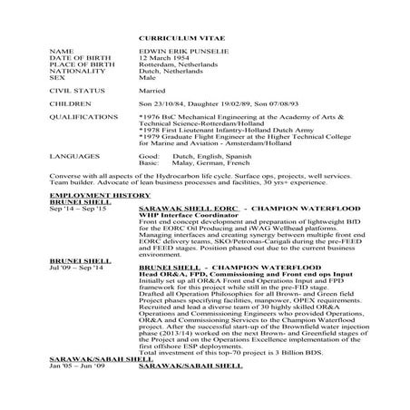 CV2.DOC | Civil Engineering Industry | Industries