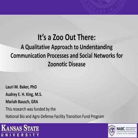 It's a Zoo Out There: A qualitative approach to understanding ...