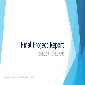 Final Project Report (1) | PPTX