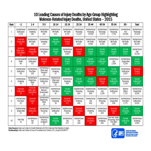 CDC leading causes injury deaths violence 2015 | PDF