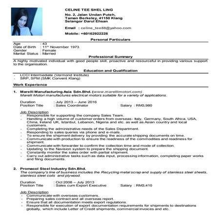 Celine Tee_CV2016 | DOCX | Logistics | Business