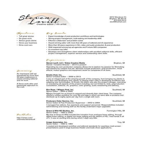 Steven Lovill CV 2015c | PDF