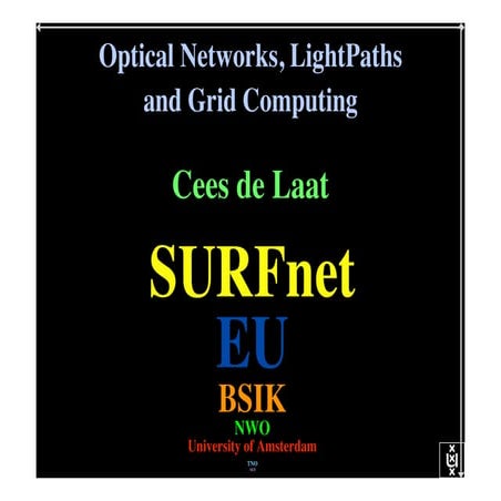 Optical Networks Light Paths And Grid Computing Pdf Computer Networking Computing