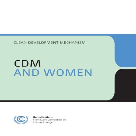 Cdm and women | PDF | Environmental Services Industry | Industries