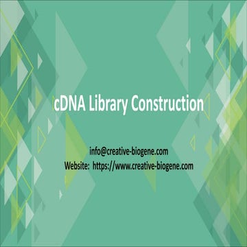 cDNA library construction | PPT