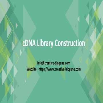 cDNA Library Construction | PPTX
