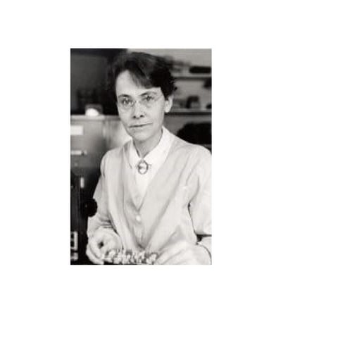 C:\Documents And Settings\Administrador\Mis Documentos\Barbara | PPT