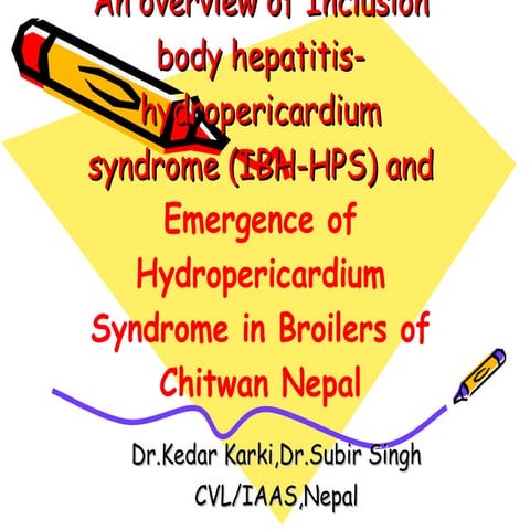An overview of Inclusion body hepatitis-hydropericardium syndrome (IBH ...
