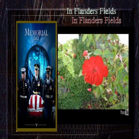 In Flanders Fields | PPT