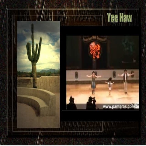 Yee Haw | PPS