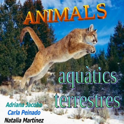 animals | PPT