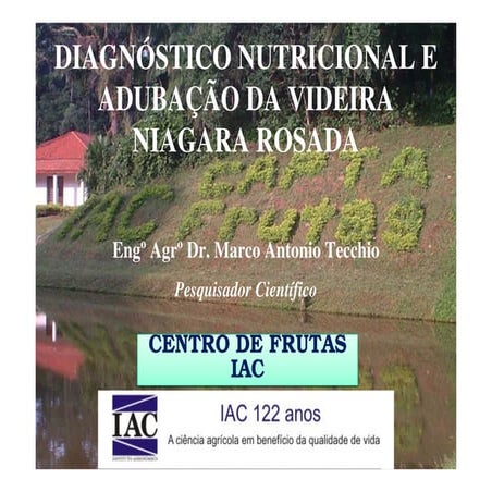 Diagnóstico Nutricional E Adubação Da Videira Niagara Rosada | PPT