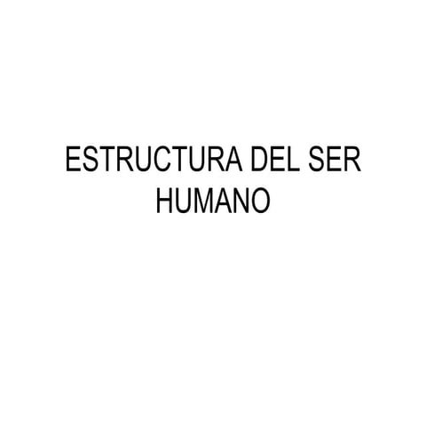 Estructura del ser humano | PPT