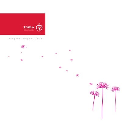 TSiBA's Annual report | PDF