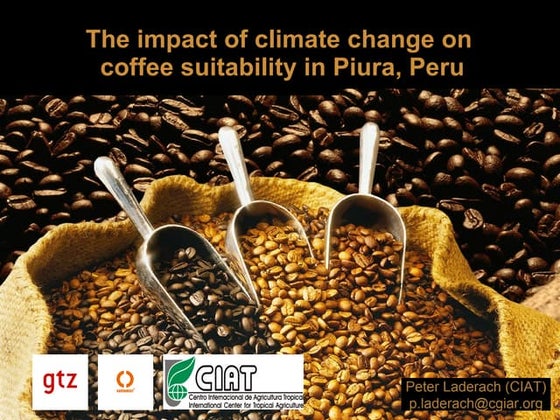 Coffee - Basic Introduction | PDF