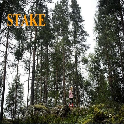 STAKE | PPT | Business | Business and Finance