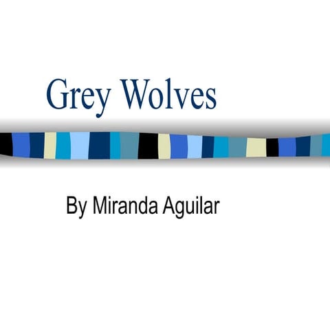 Grey Wolves | PPT