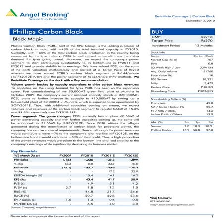 Phillips Carbon | PDF