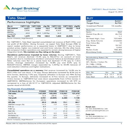 Tata Steel | PDF
