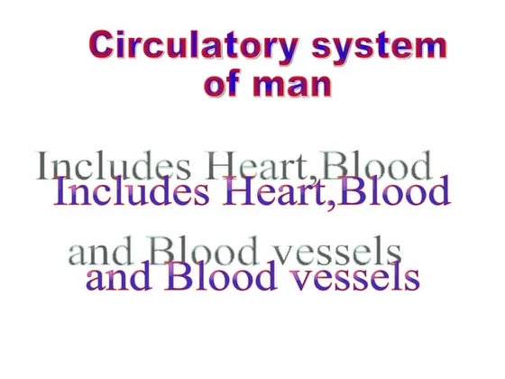 Structure and function of heart by Shashank Bandre Class 10 CBSE | PPT