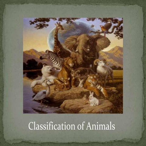 Animal Classificatiom | PPTX