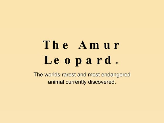 Amur leopard | PPTX