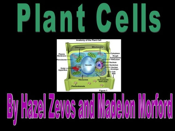 Parts of the Cell | PPT