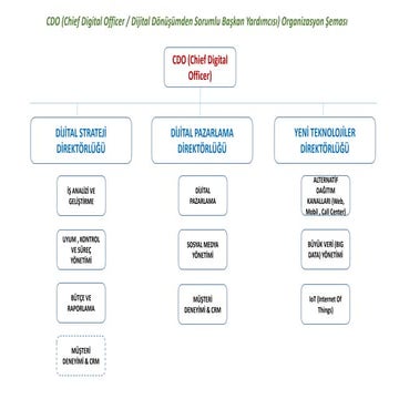 CDO Organizasyon Şeması / CDO Organization Chart | PPTX
