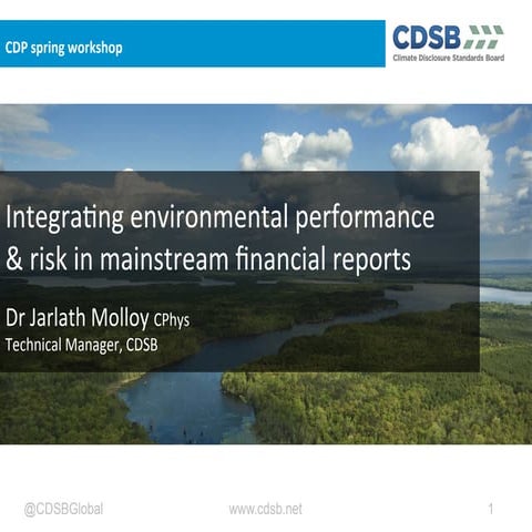 CDP spring workshop 2014 (CDSB Framework presentation) | PPT