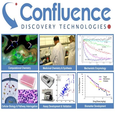 Confluence Discovery Technologies | PPTX