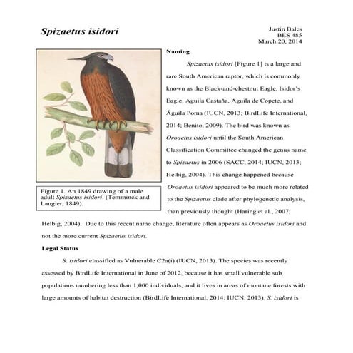 Black and chestnut Final | PDF