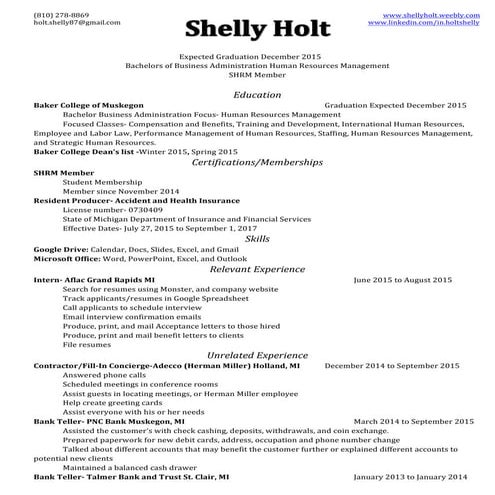 Holt Resume-Master | PDF | Business | Business and Finance