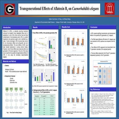 SOT Poster 2016 Tayo | PPTX